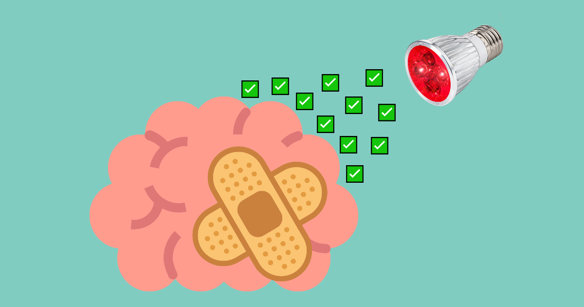 The guide on how to treat the brain using Photobiomodulation ...